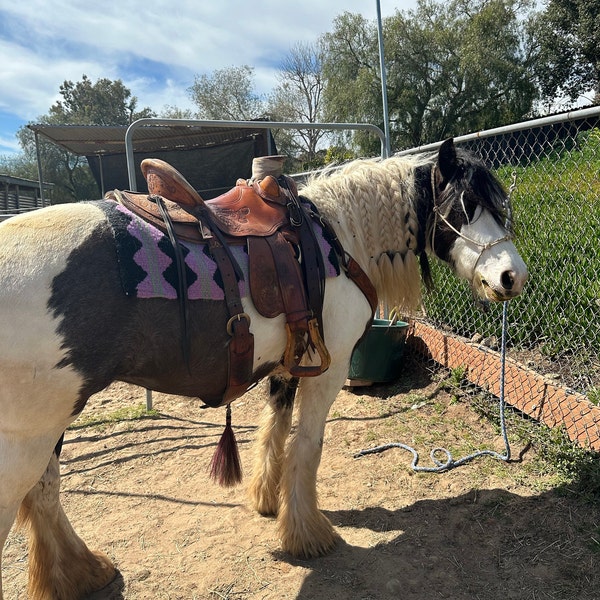 Horsehair Shu-fly, Horsehair Shoofly, Unique Rainbow Colors - Etsy