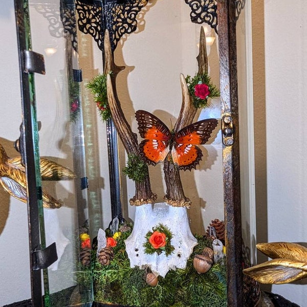 OVERSTOCK: Spread Penthicodes Pulchella, Lanternflies 2-pack - Etsy