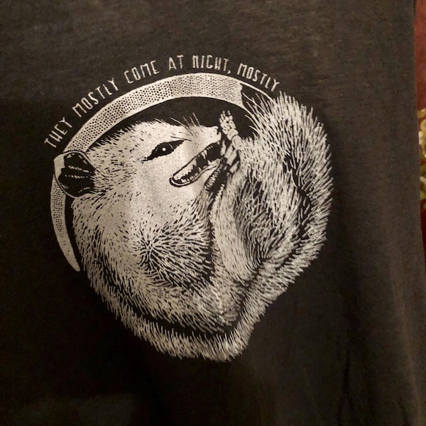 RED EARED SLIDER Shirt If You Steal My Sunshine Nature Tee Conservation ...