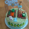 Acrylic Sun Cake Topper, Personalised First Birthday Cake Topper, is ...