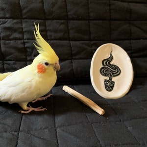 Snake Spirit Tray Black Sgraffito/shiny Glaze Off-white Clay Small ...