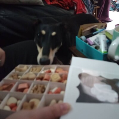 Scottish Tunnocks Sweet Treat Chocolate Hamper - Etsy UK