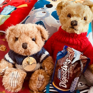 Aaron the Bear Upcycled Soft Toy by Second Hugs/cuddly Toy/ Teddy Bear ...