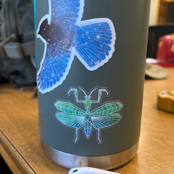 Acrylic Charm Keychain - Betta Fish in a Bottle - Etsy