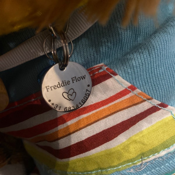 Personalized Dog and Cat Name Tag, Dog Tag Engraved for Pets, Keep Safe ...