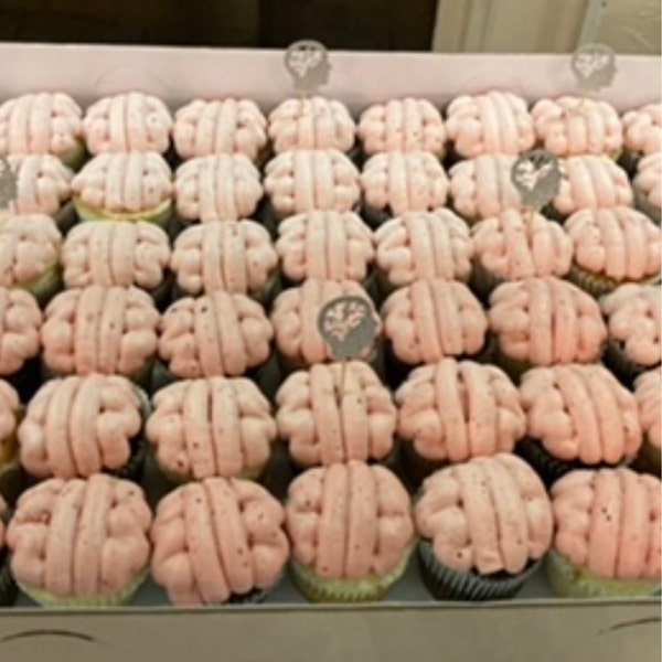 Brain Cupcake Toppers, Neurology Party Decorations, Neurologist ...
