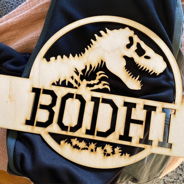 Personalized Wood Dinosaur Wall Sign Bedroom Door Sign - Etsy