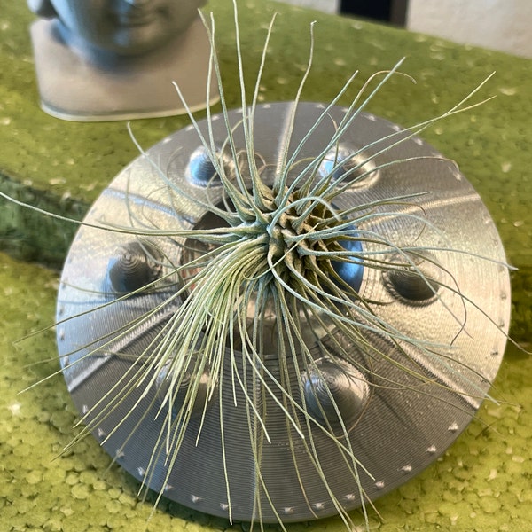 Alien Succulent Planter | Office Decor | Home Decor | Modern Planter ...