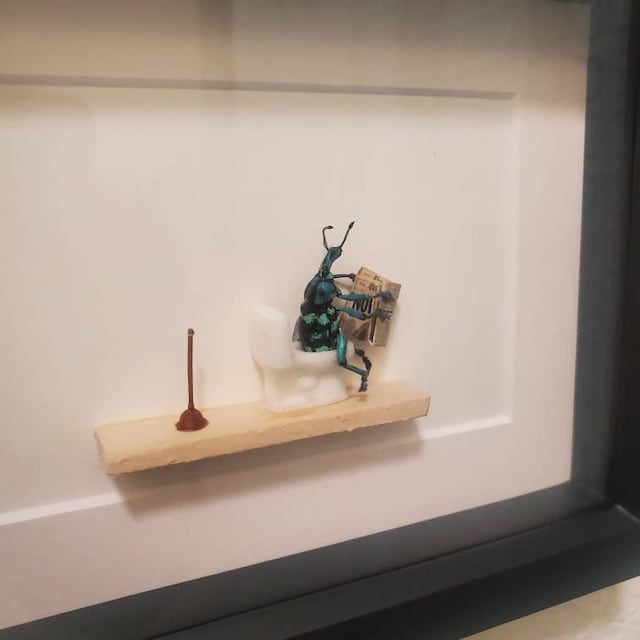 View Insect DIORAMAS by BugUnderGlass on Etsy
