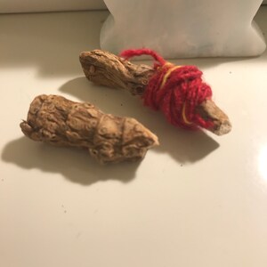 Rare Jackal Horn Gidar Singhi Black Magic Powerful Talisman | Etsy