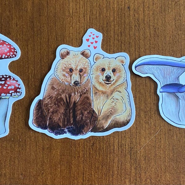 Montana State Flower Vinyl Sticker, the Vibrant Bitterroot - Etsy