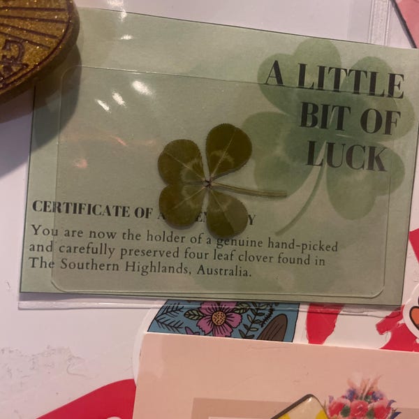 Genuine Five Leaf Clover | Shamrock 5 Leaf Clover | Wedding Favours ...