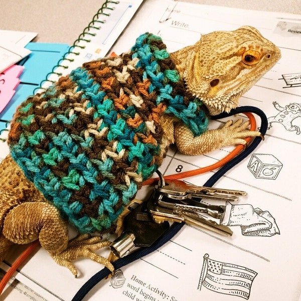 Crocheted Adult Bearded Dragon Sweater | Bearded Dragon Sweater ...