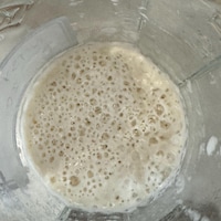 Sourdough Starter - SUPER Active! - Biodynamic, Dry Starter With ...