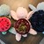 Pattern 3 in 1 Crochet Fruit Turtle PDF Download No Sew Amigurumi ...