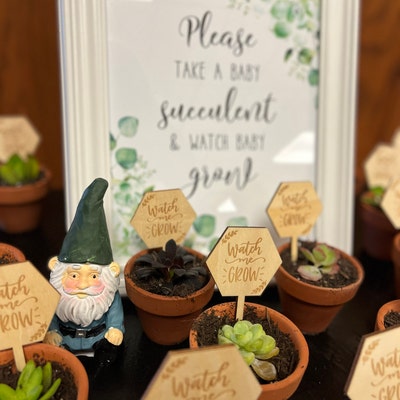 Watch Baby Grow Sign, Succulent Baby Shower, Succulent Favor Sign ...