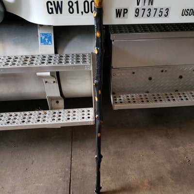 Irish Blackthorn Walking Stick 35 Inchs Long 3x2 Rootball Handle 500 ...