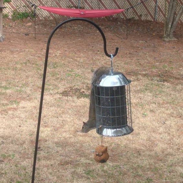 Squirrel Proof, LARGE BIRD STOPPER, Bird Feeder for Songbirds - Etsy