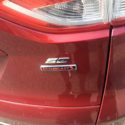 Gel Coated domed FORD ECOBEAST Emblem Overlays Ecoboost Eco Boost ...