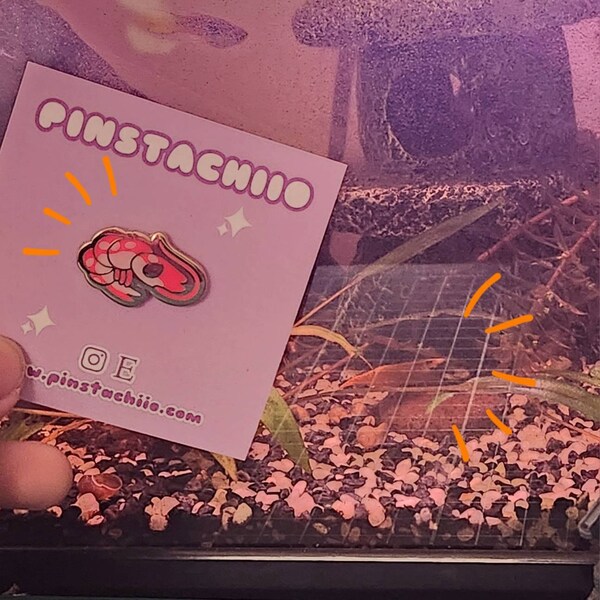 Shark Enamel Pin - Etsy