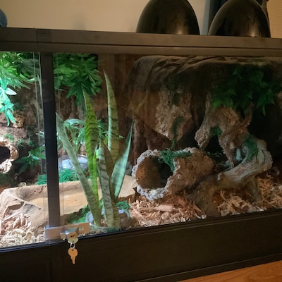 Virgin Cork Bits 1LB for Orchids, Airplants, Reptiles, Tarantula, and ...