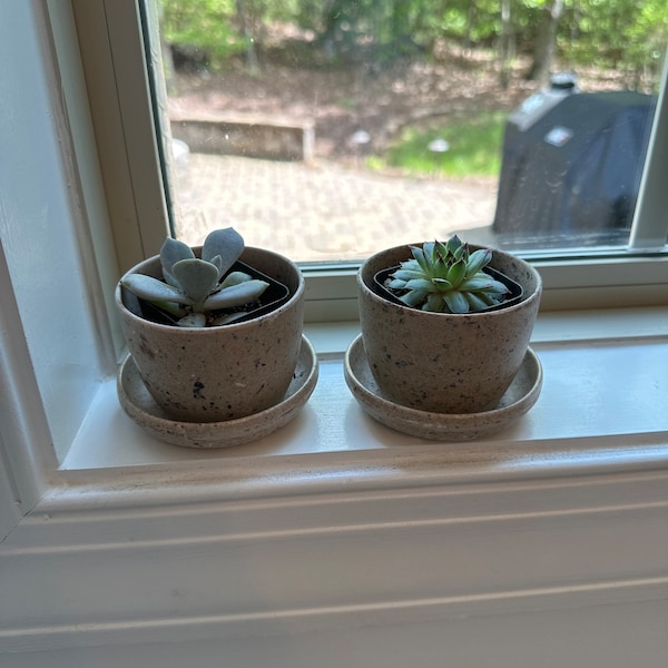 Harmony 7" Planters | Indoor Small Succulent Planters | Planter With ...