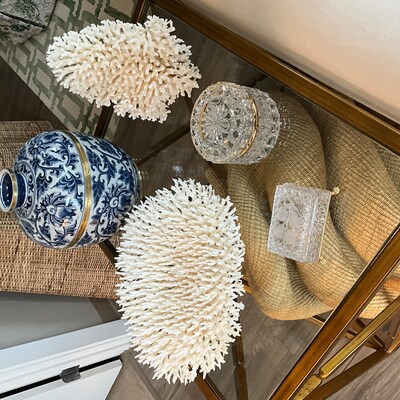 Embellished Spindle Shell With Swarovski Crystals and Pearl Accents ...