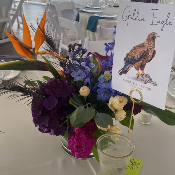 Bird Table Numbers for Wedding | Animal Table Names | Illustrated ...