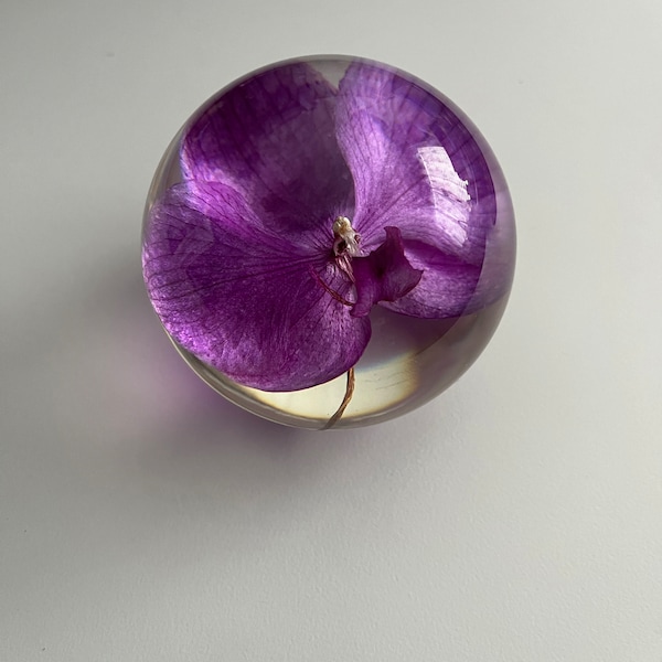 Weed or Flower Paperweights - Made From Real Dandelion Seed Puffs and ...