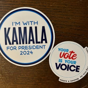 Ally Safety Pin Vinyl Sticker - Etsy