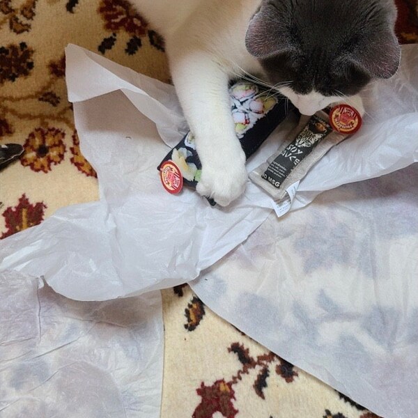 Chinese Takeout, Asian Hot Sauce Packet Catnip Cat Toy - Etsy