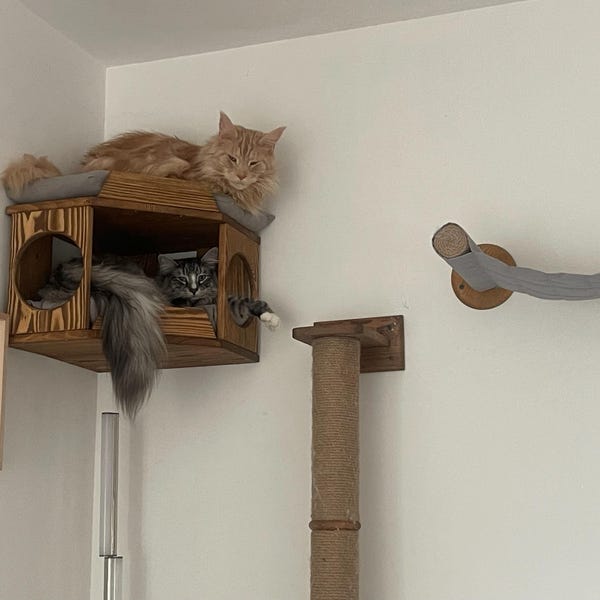 Ceiling Cat Furniture Playground Wood Cat Furniture Set of 4 Houses and ...