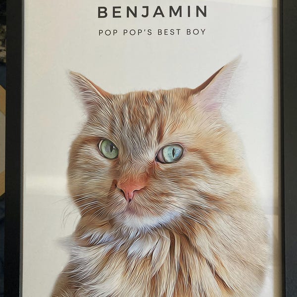 Custom Pet Magazine Cover | Digital or Framed | for Cats | Perfect Gift ...