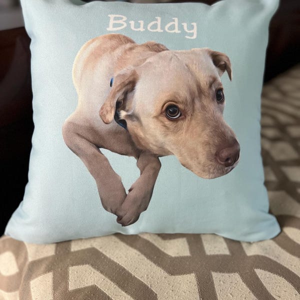 Custom Pet Pillow Using Pet Photo + Name Custom Cat Dog Pillow ...
