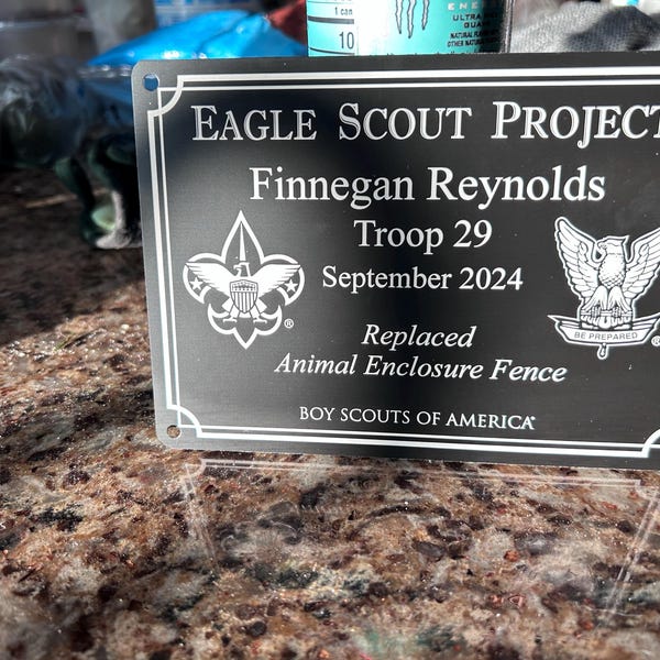 BSA Licensed AOL Den Leader Cub Scouts Plaque With Rank Insignia and ...