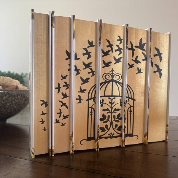 Dance of Thieves Duo (dance of Thieves and Vow of Thieves) by Mary E ...