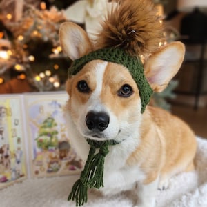 Corgi Beanie Dog Beanie Corgi Hats Dog Hat Dog Beanie - Etsy