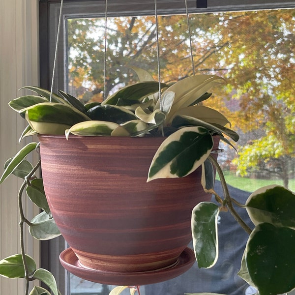 Hanging Ceramic Planter, Modern Pottery Planter, With or Without Drain ...