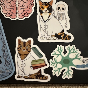 RAMEN CELL Vinyl Sticker Science Biology STEM Molecular Food Sciart ...