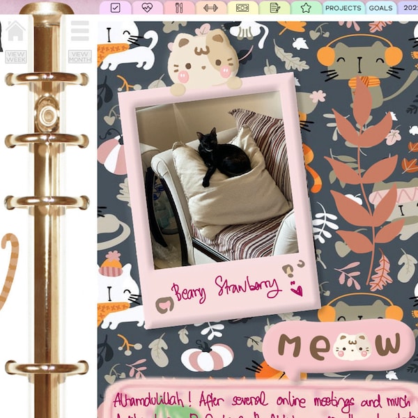 Kawaii Digital Planner Stickers for Goodnotes Planner/ Goodnotes ...