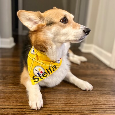 Spiderman Dog and Cat Bandana With Optional Personalization, Matching ...