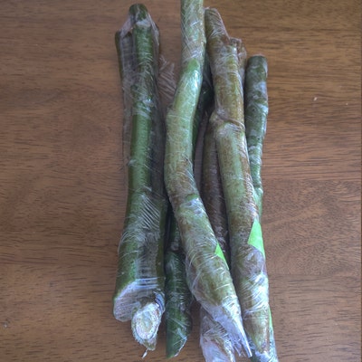 5 Bele Abelmoschus Manihot Edible Hibiscus Tonga Spinach Cuttings FROM ...