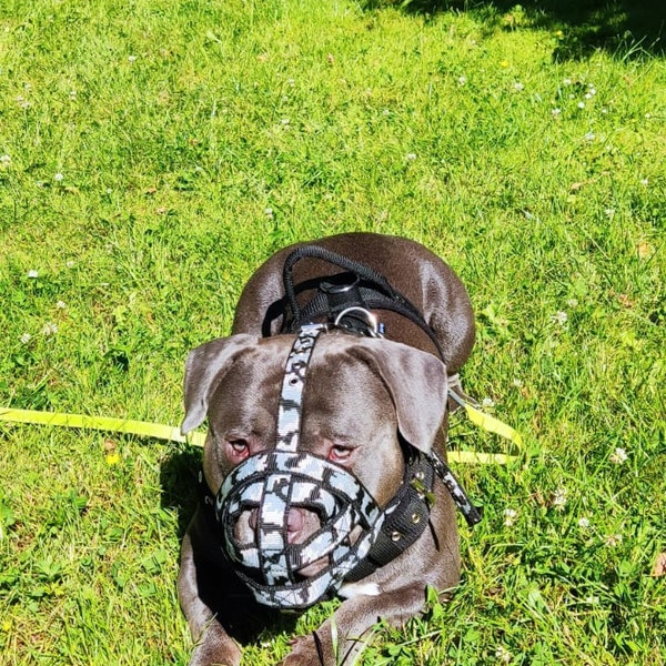 Pitbull Amstaff Muzzle With an Additional Strap , Dog Muzzle, Nylon ...