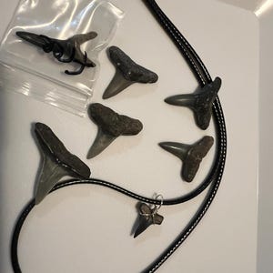 Make Yer Own Shark Art Kit Reef Shark 8x10 - Etsy