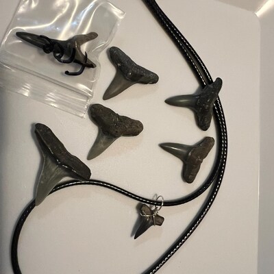 Make Yer Own Shark Art Kit Reef Shark 8x10 - Etsy