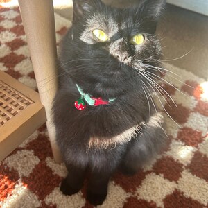 Pink Roses Cat Collar With Bell Cat Breakaway Collar Custom Made - Etsy