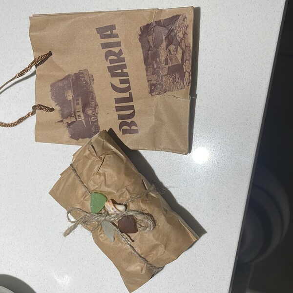 Sea Shells Bulk 50-150 Set Raw Genuine Seashell Spiral Innards Jewelry ...