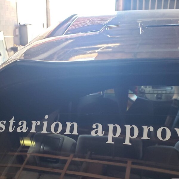 Baldur's Gate 3 Vinyl Decal Companion Approves Disapproves BG3 Astarion ...