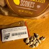 20pcs Seeds Rare Lemon Tree Indoor Outdoor Available Heirloom Fruit ...