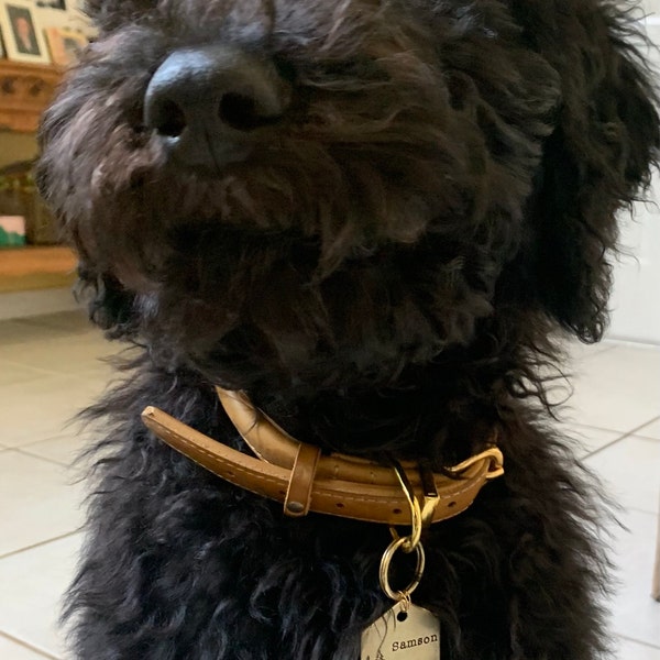 Redwood and Pines, Tree Dog Tag, Dog Tags for Dogs, Dog Tags, Pet Id ...